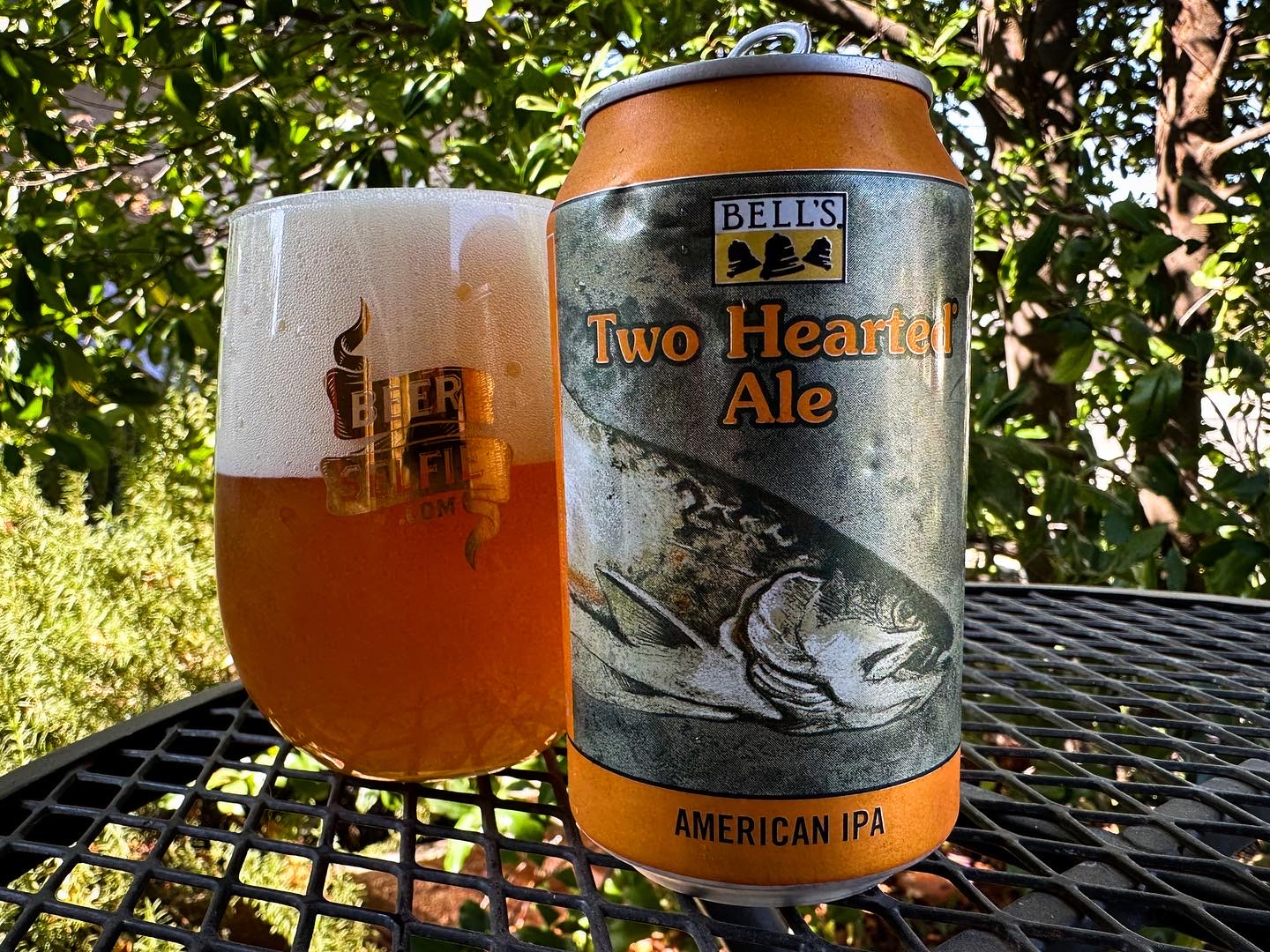 Beer of the Month: Two Hearted – BeerSelfie.com